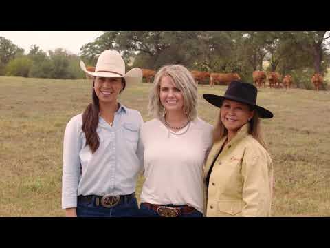 Akaushi-Heartbrand Beef | TheAmerican Rancher