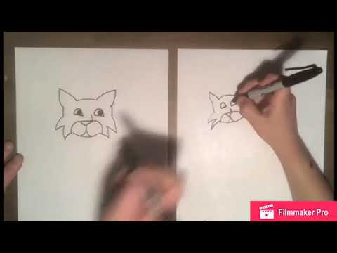 Bobcat Community- Join Mrs. Rodriguez and draw our school mascot, the bobcat
