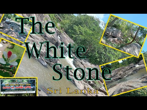 Natural World: Exploring the Wonders of Nature