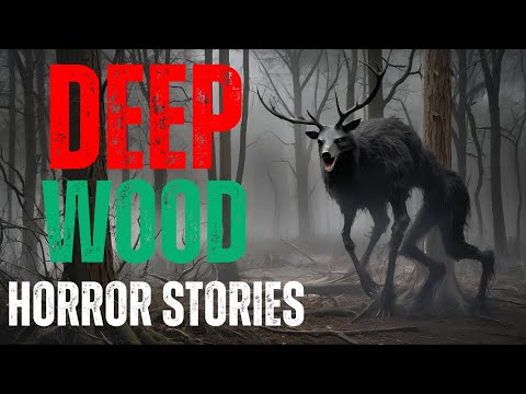 Best of Camping HORROR STORIES from Reddit to Give You Nightmares