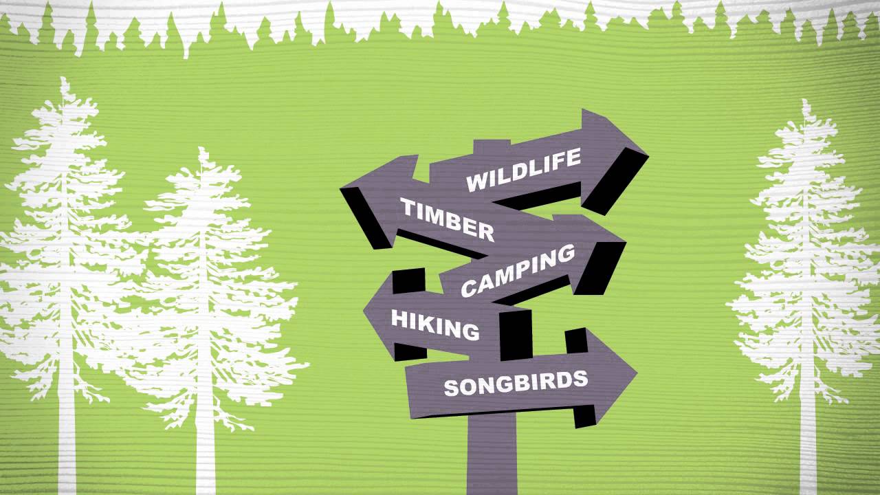FOREST FAST BREAK: Forest Management