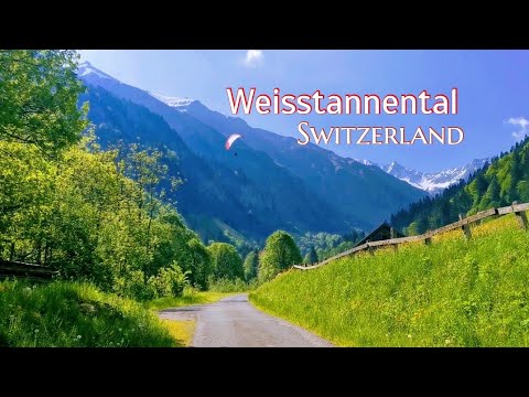 Hike in Weistannen