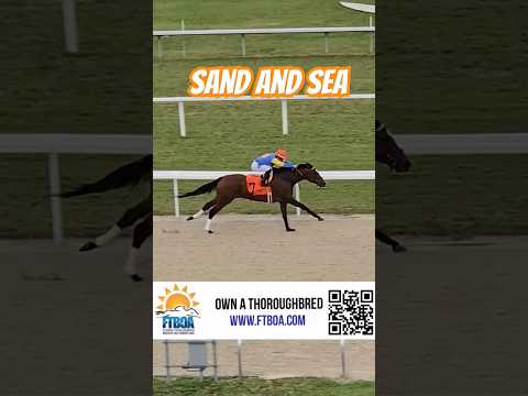 Sand and Sea, Junior Alvarado at the reins, was uncatchable in the Key West H. #GulfstreamPark