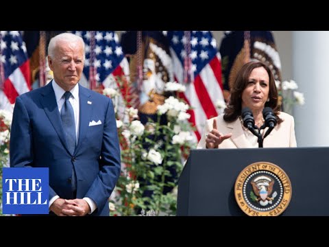 Ted Cruz on border crisis: 'Joe Biden and Kamala Harris refuse to do a damn thing about it'