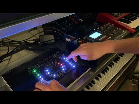 Polaron Polaron DIY Drum Machine | Reverb