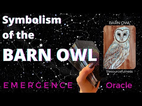 🦉 Spiritual Meaning of Barn Owl Spirit Guide, Emergence Oracle Deck 🦉