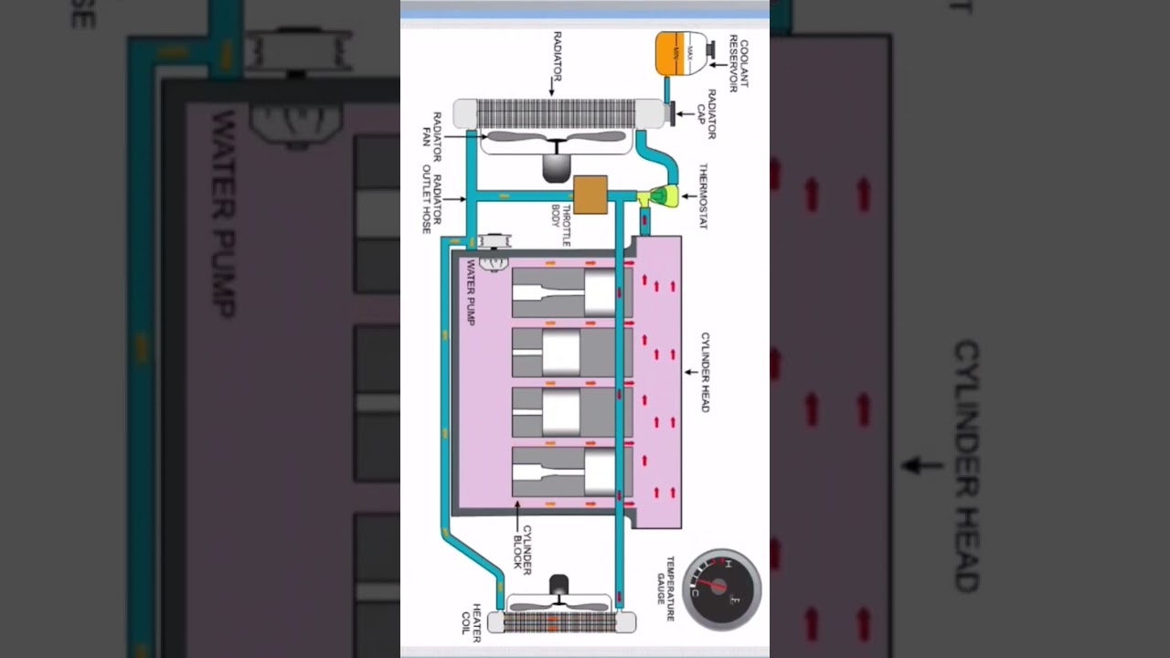 Engine cooling system animation.