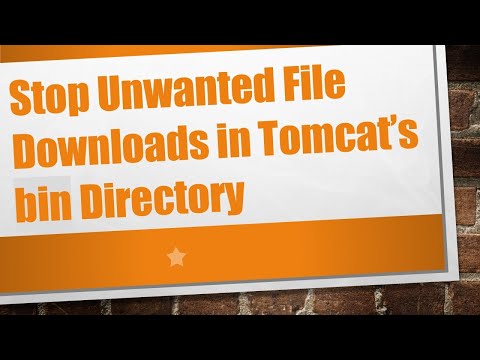 Stop Unwanted File Downloads in Tomcat’s bin Directory