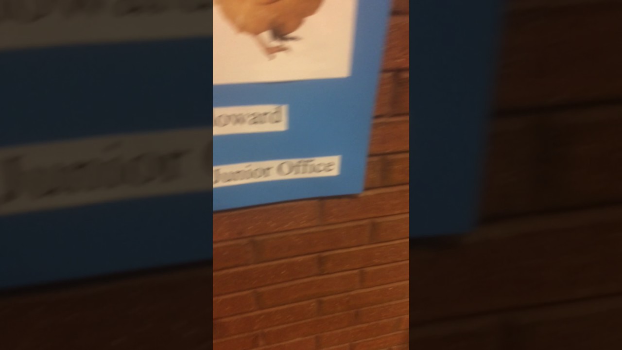 Funny vote posters!!!