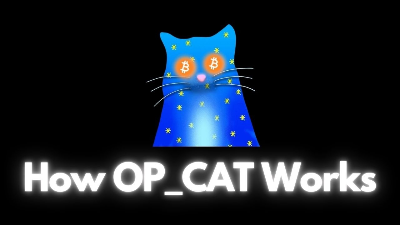 Using the OP_CAT opcode in Bitcoin