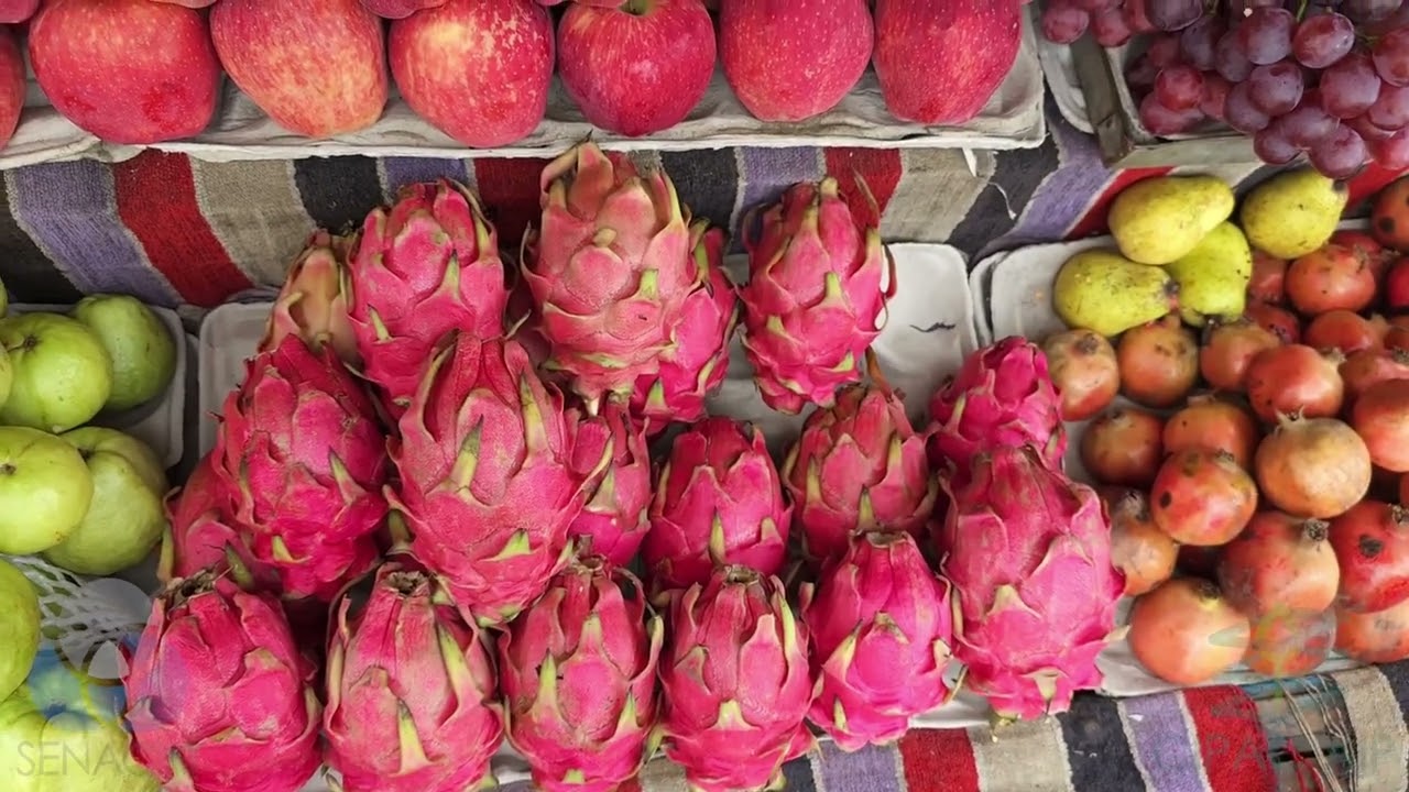 CIPAC-AIP: La Pitahaya, Tesoro Tropical