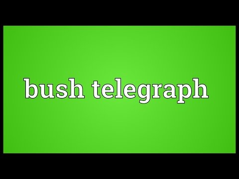 Bush telegraph Meaning