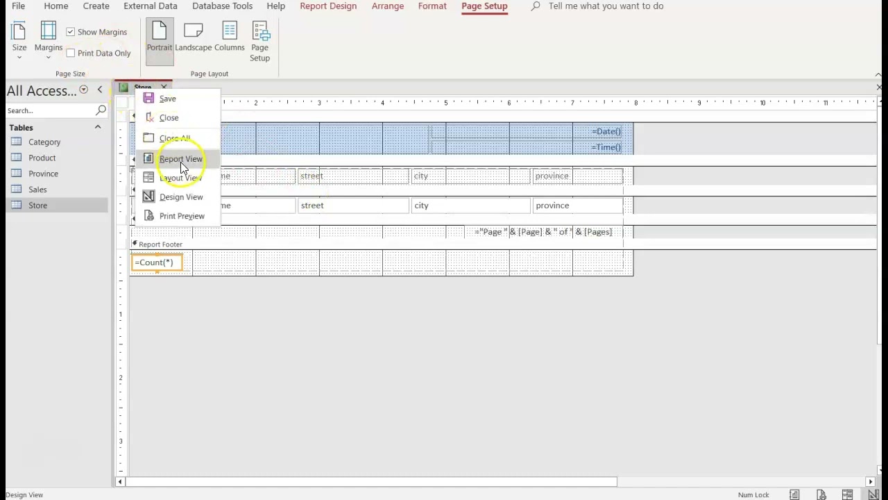 Access Database - Editi a Basic Report - Module B