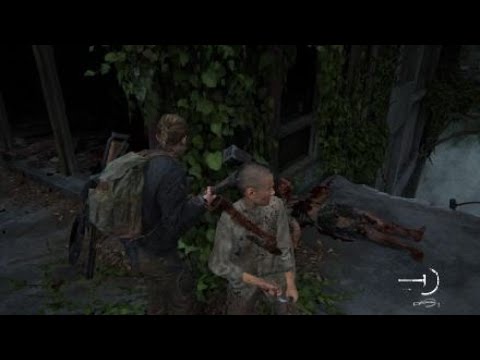 The Last of Us™ Part II_20250610094835