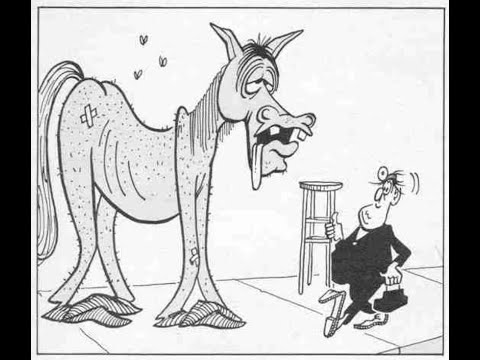 "The Veterinarian." MAD's Don Martin cartoon
