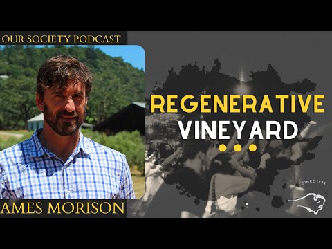 Regenerative Vineyard | Medlock Ames | Ames Morison