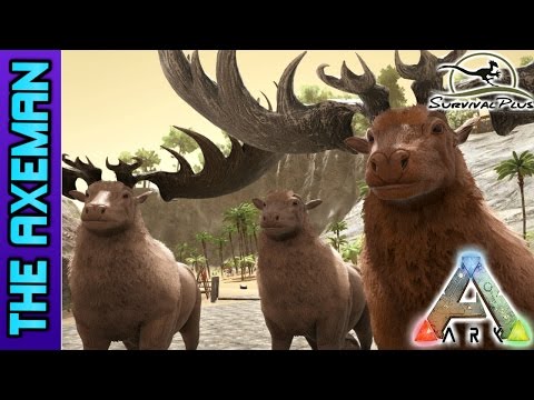 Steam Community :: Video :: MEGALOCEROS NEW TAMING METHOD | Ark ...