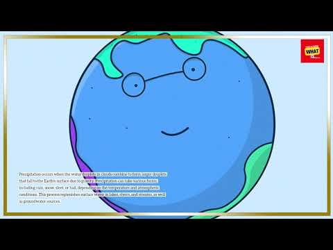 What is the Water Cycle and Why Is It Essential for Life
