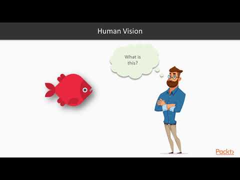 Learn Introduction to Deep Learning with Caffe2 How Machines Learn to See | packtpub com - Mind ...