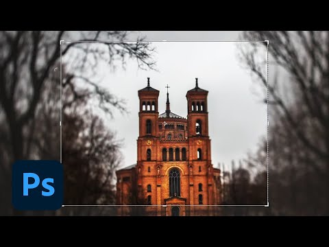 5 Features of the Crop Tool in Photoshop | Adobe Photoshop