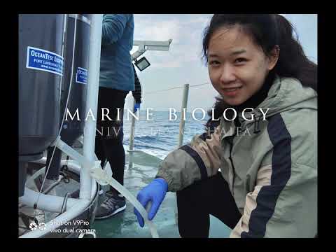 MSc. in Marine Biology - University of Haifa