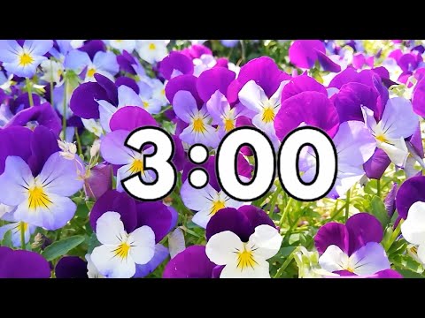 3 Minute Spring Countdown Timer - Calming Music
