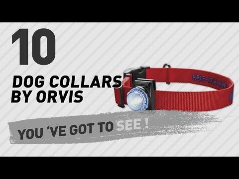Dog Collars By Orvis // Top 10 Most Popular