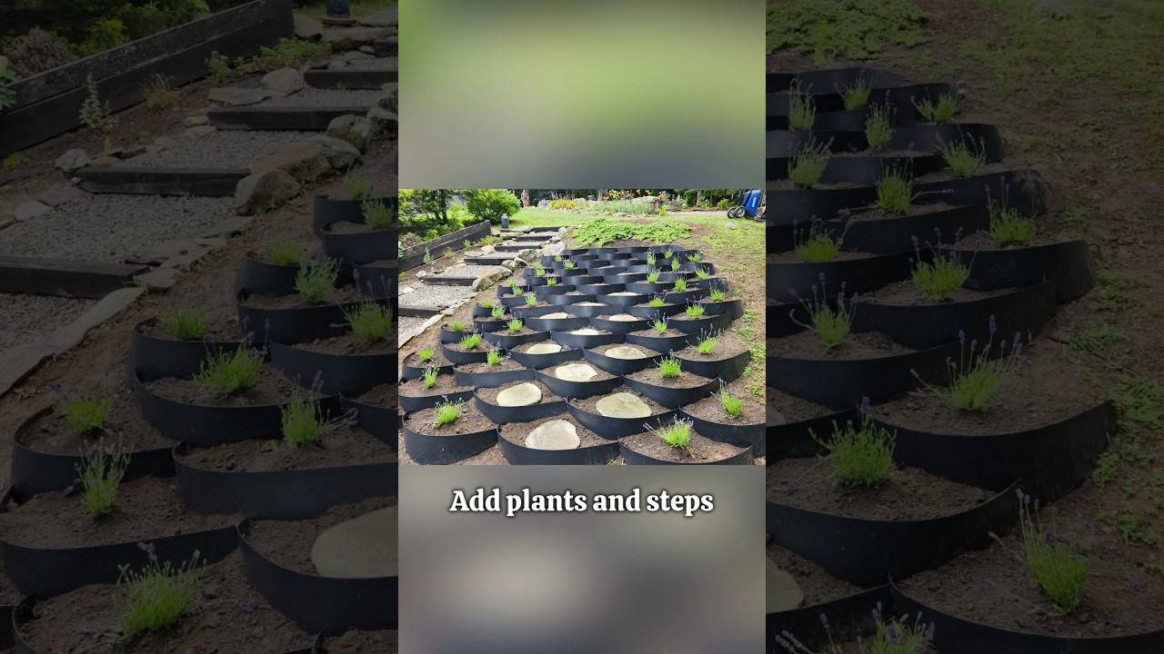 Plant on a Slope the Smart Way | Dirt Locker® Erosion Control