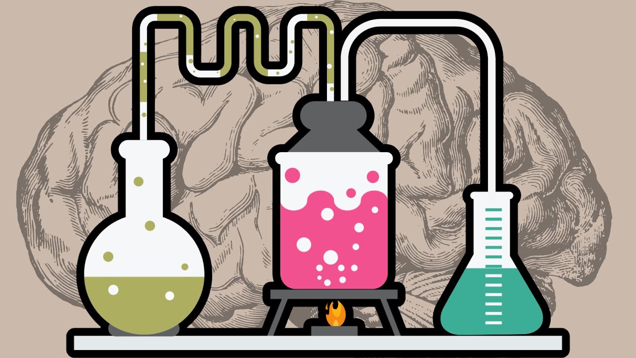 The Experiment That Teaches People How To Learn | Galaxy.ai