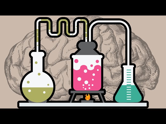 The Experiment That Teaches People How To Learn | Galaxy