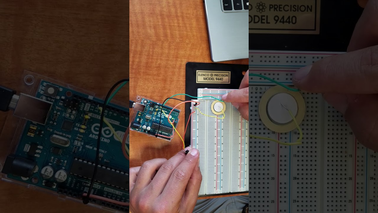 BME4503C Wiki 1 - Piezo Speaker Operation
