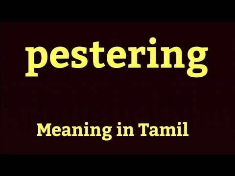 Pestering meaning in Tamil