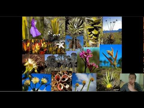Darwin's Theory of Evolution: Introduction to Evolutionary Theory