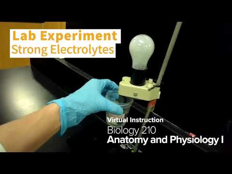 Electrolytes Lab