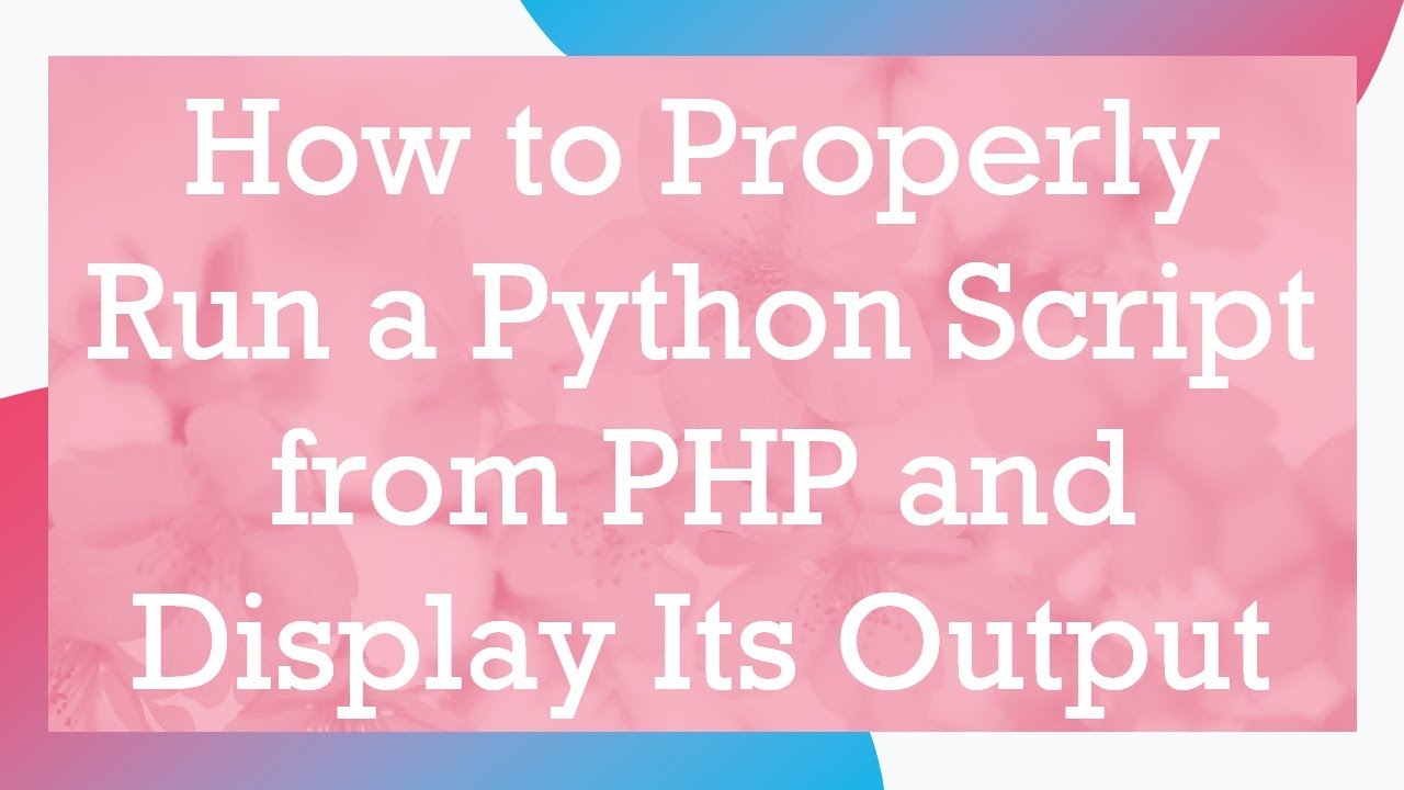 How to Properly Run a Python Script from PHP and Display Its Output