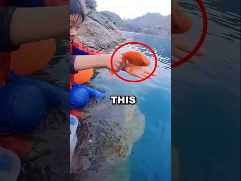 RELEASING BEST FRIEND! #cute #pets #love #animals