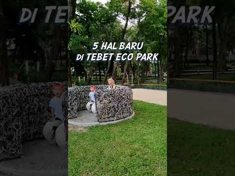 🛑 WAJIB TAU!! 5 Hal Baru di Tebet Eco Park #shorts #tamanjakarta