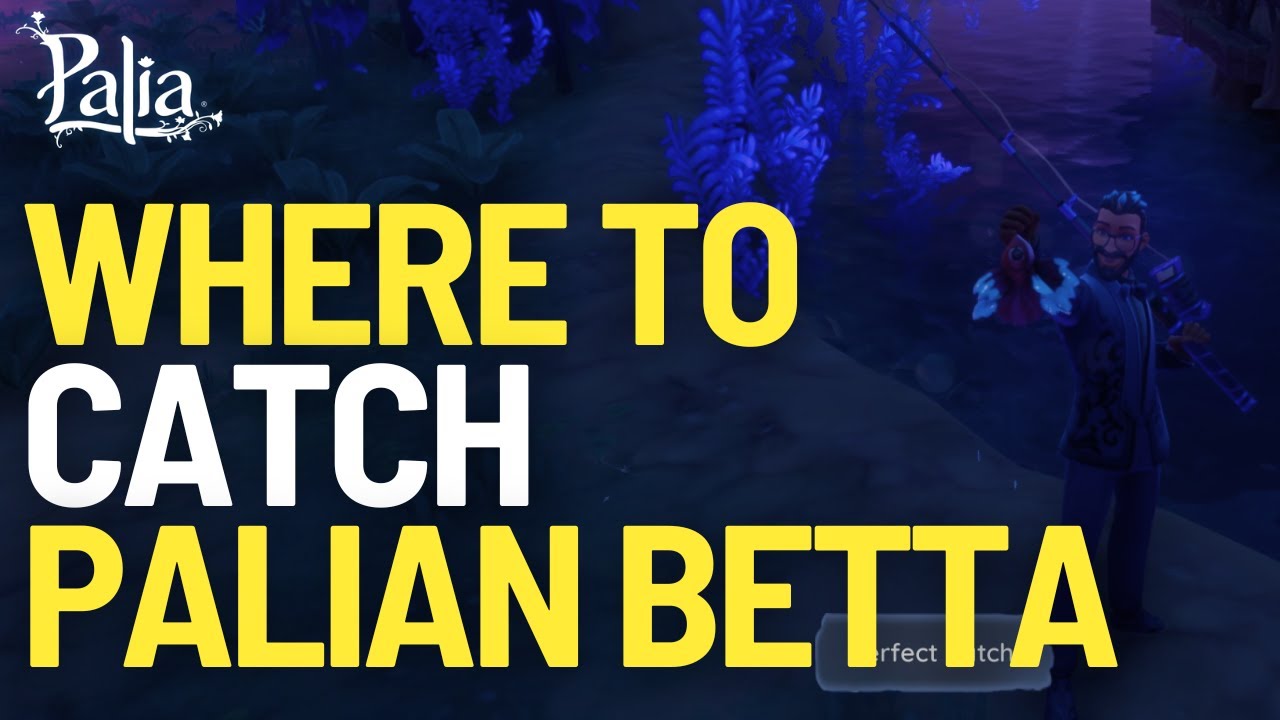 Where to Catch the Palian Betta Fish in Palia