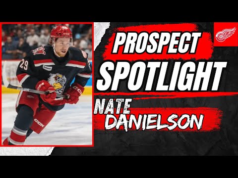 Nate Danielson: The Detroit Red Wings Next Great Two-Way Center?