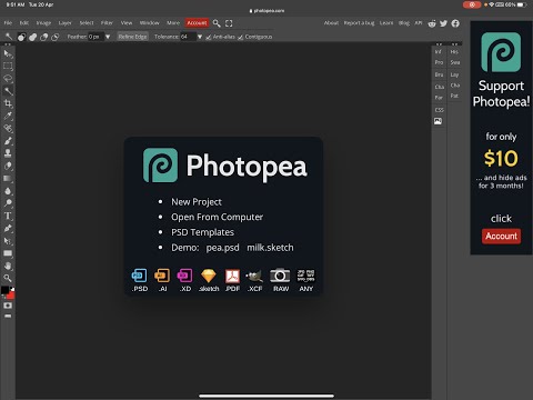 Year 5 Photopea - Copy and Paste into new layers with Free Transform