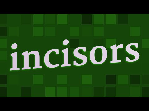 INCISORS pronunciation • How to pronounce INCISORS