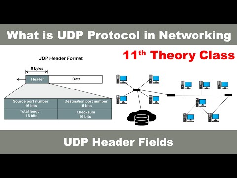 [What is UDP Protocol in Networking] [What is UDP Header] [What is TCP and UDP] [UDP Header Fields]