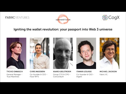 Igniting the wallet revolution: Your passport into Web 3 universe