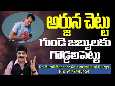 అర్జున చెట్టు గుండె జబ్బులకు గొడ్డలిపెట్టు!Arjuna Tree Bark Benefits, Uses & Side effects