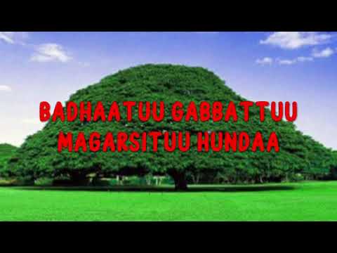 Faaruu Alaabaa Oromiyaa(walaloo/lyrics)