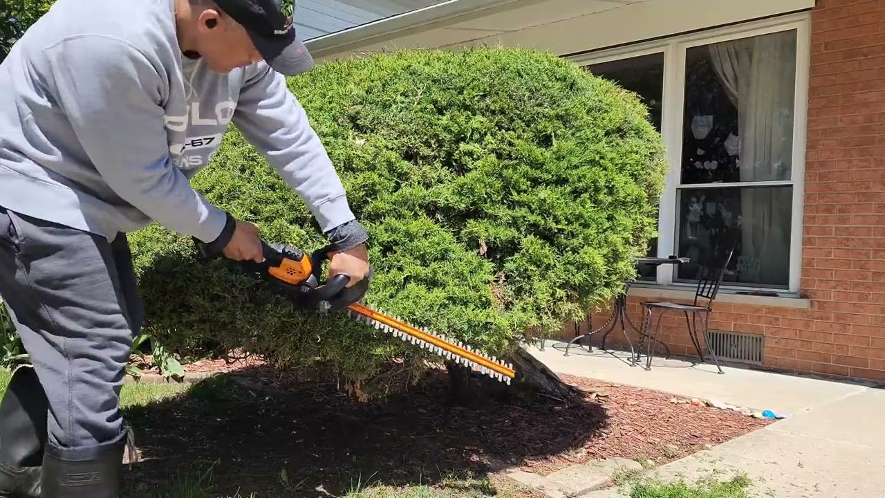 WORX 20V cordless 22” Hedge Trimmer: A Performance Review