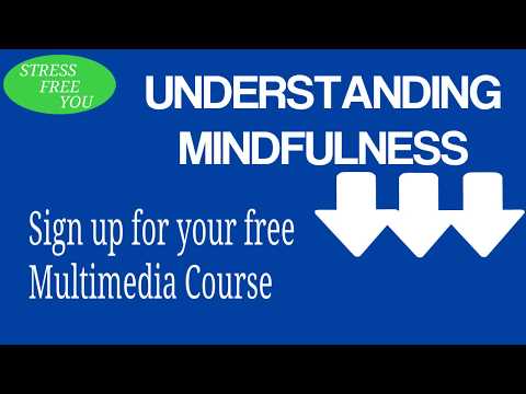 The Definition Of Mindfulness Introduction