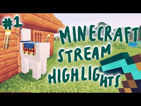 ACNH Creator Plays Minecraft (in a constant state of peril lmao) - Minecraft Stream Highlights #1
