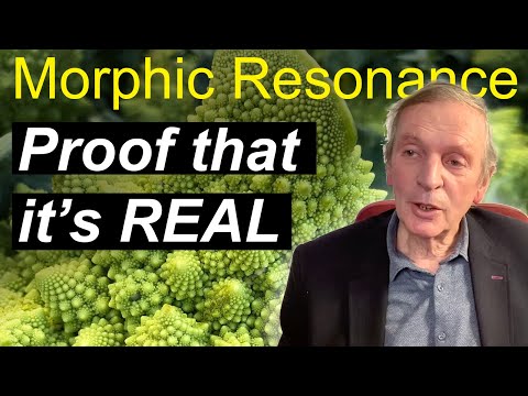 New Evidence of Morphic Resonance - Rupert Sheldrake