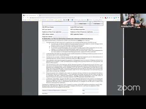 SBA Simple Forgiveness Application Form 3508S